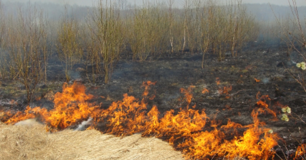 Fires Flare Up Asthma and COPD Attacks | RxWiki
